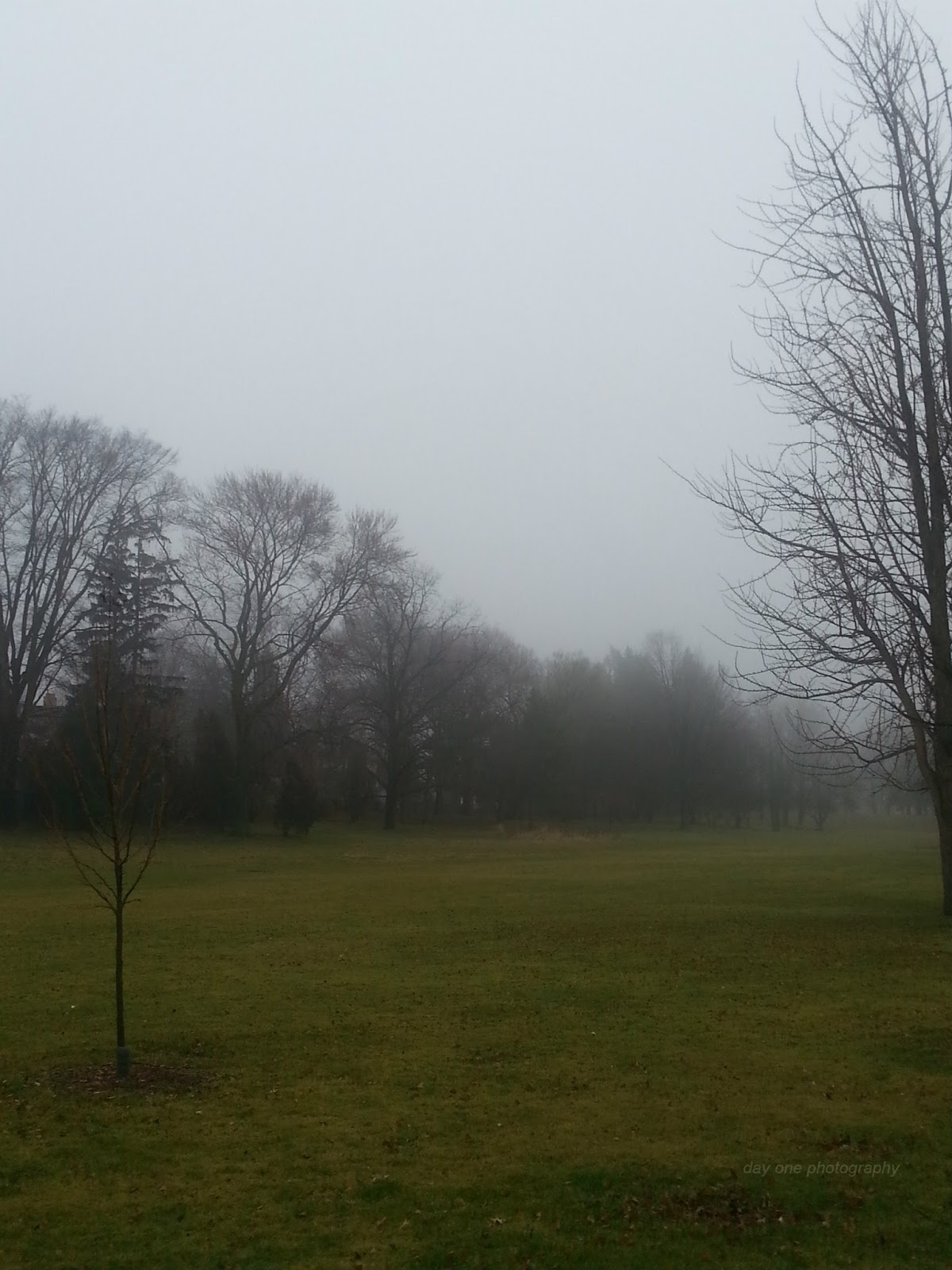 Day One Photography: A Misty Rain And Fog