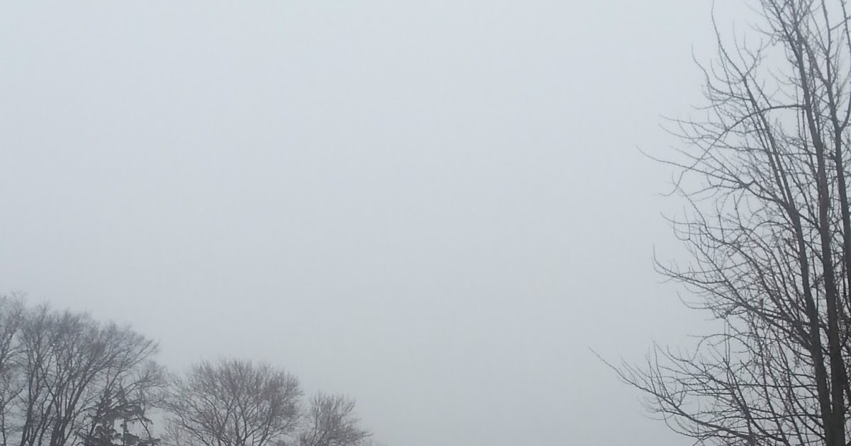 Day One Photography: A Misty Rain And Fog