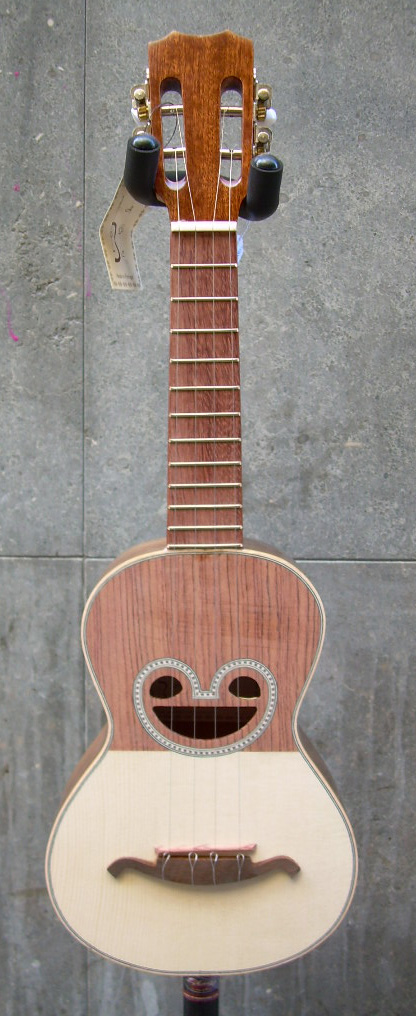 INSTRUMUNDO Instrumentos Musicales: Cavaquinho, Machimbo, Machim ...