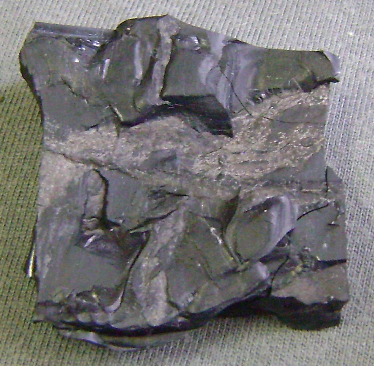 Rochas, Minerais, Gemas e Fósseis: FÓSSIL