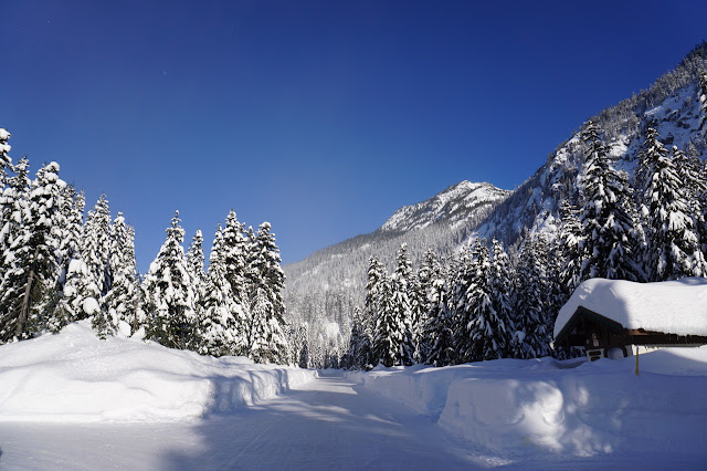 Shoreline Area News: Photo: Alpental