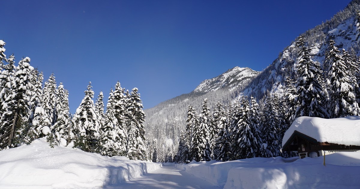 Shoreline Area News: Photo: Alpental