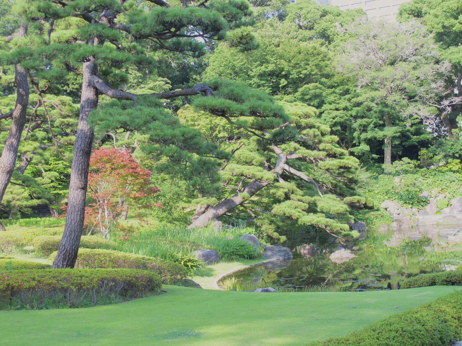 Summer in Tokyo: The National Museum of Modern Art Tokyo (MOMAT)