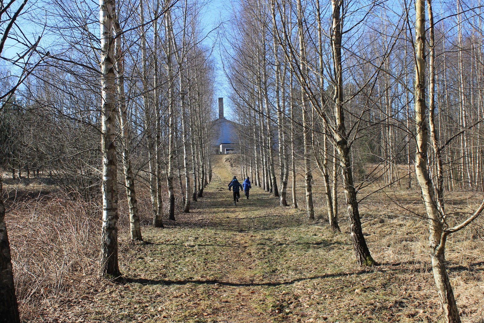 Meie klassi toimetamised: TERE, KEVAD! 2017