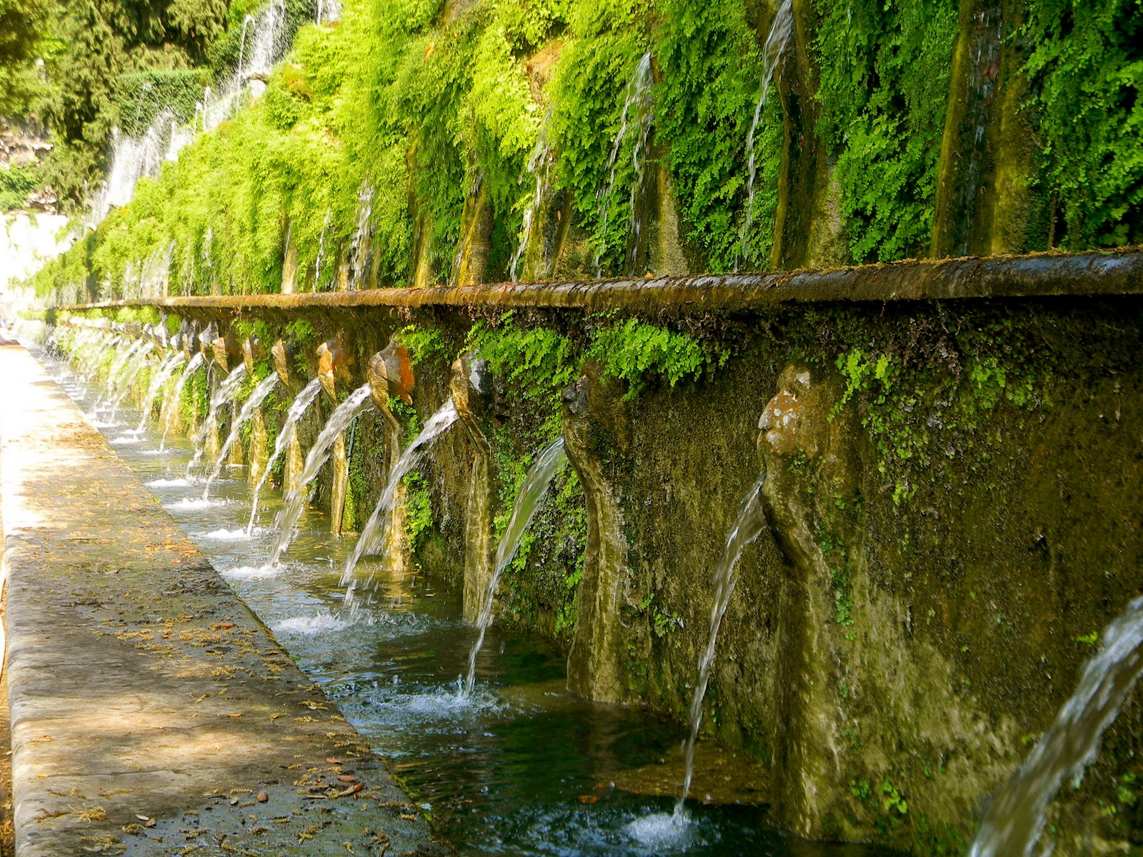 Photography Tutorial Notebook: Repetition Photography