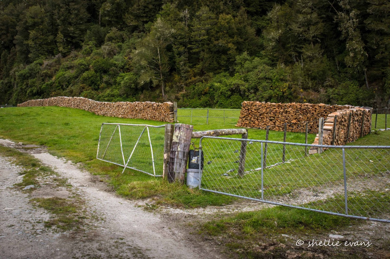 Two Go Tiki Touring: The Ghost Town of Waiuta- West Coast