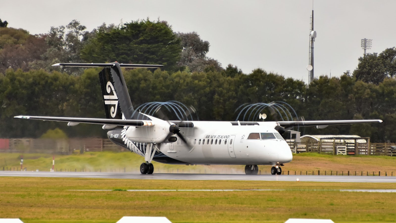Tauranga Spotter: PROP WASH