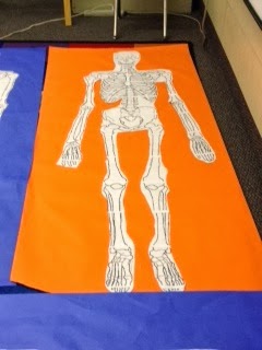 Miss Woodward's Class: All About the Human Body!