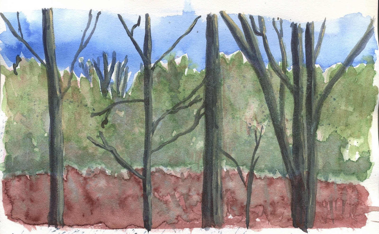 Scribbling With Spirit: Spring Woods