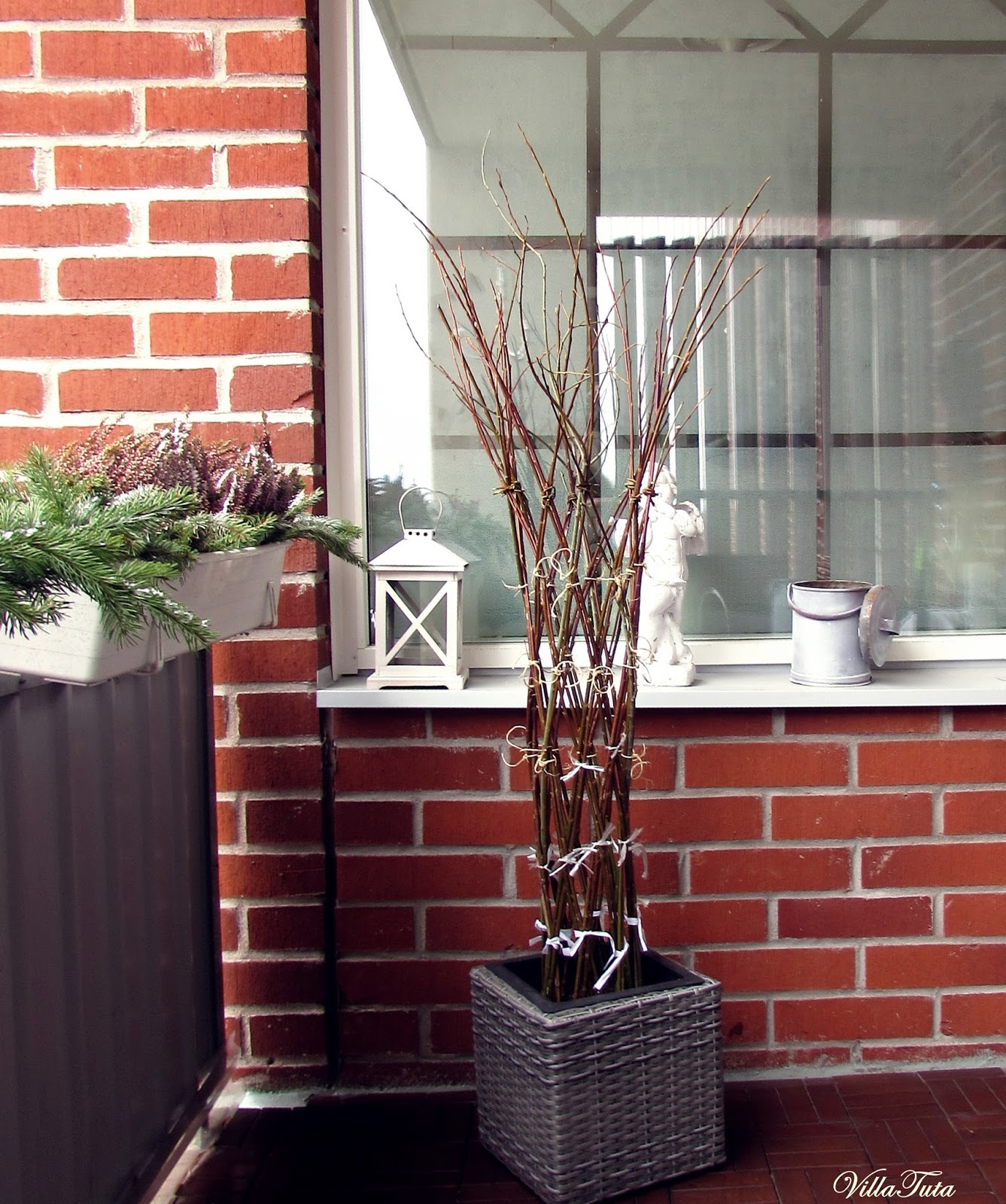 VillaTuta: Belgialainen pajupuu!