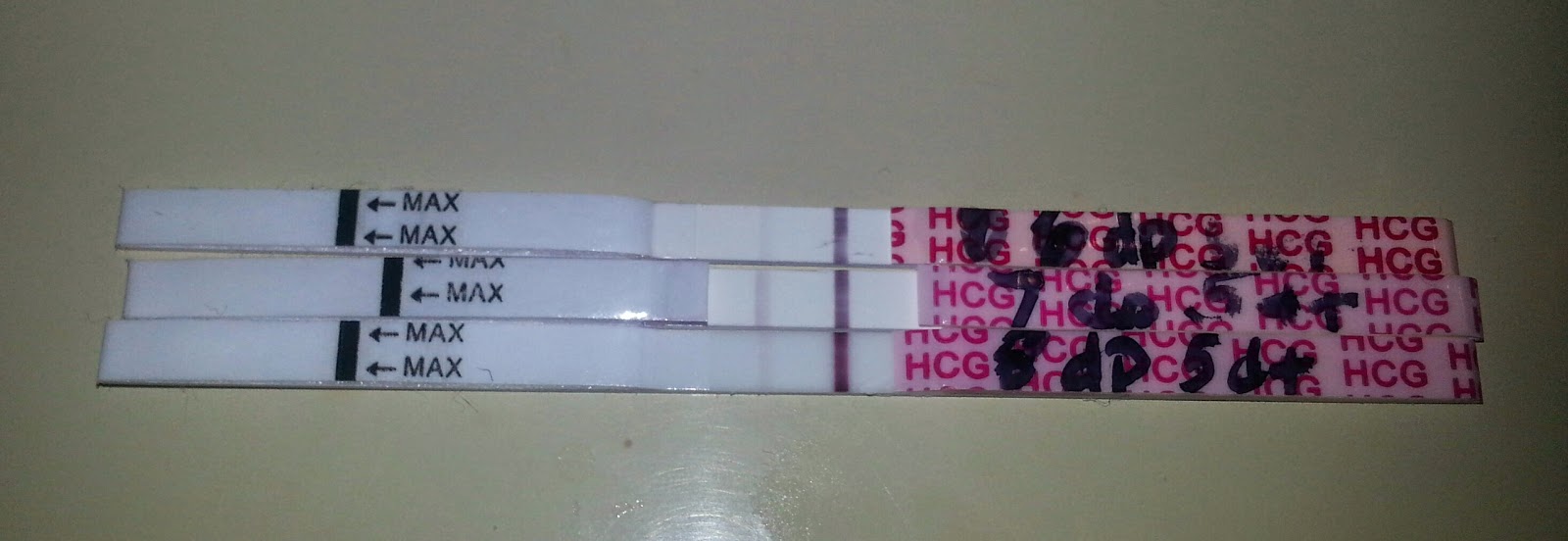 Other Side of the Rainbow: 8dp5dt