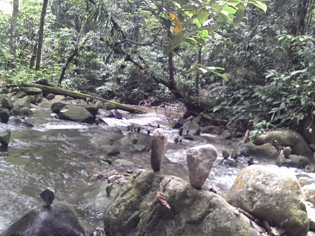 Hiking and Stuff: Gunung Nuang via Hulu Langat
