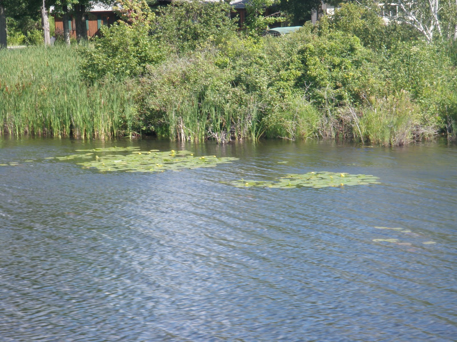 Inconceivable: Fenelon Falls to Trent Talbot Marina