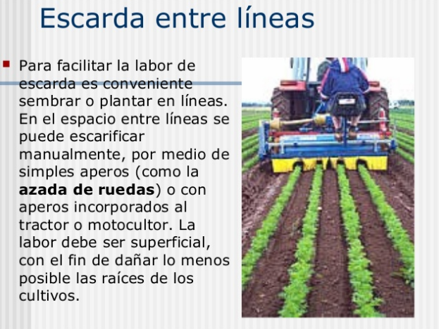 Formación Profesional Básica de Agro-Jardinería y Composiciones ...