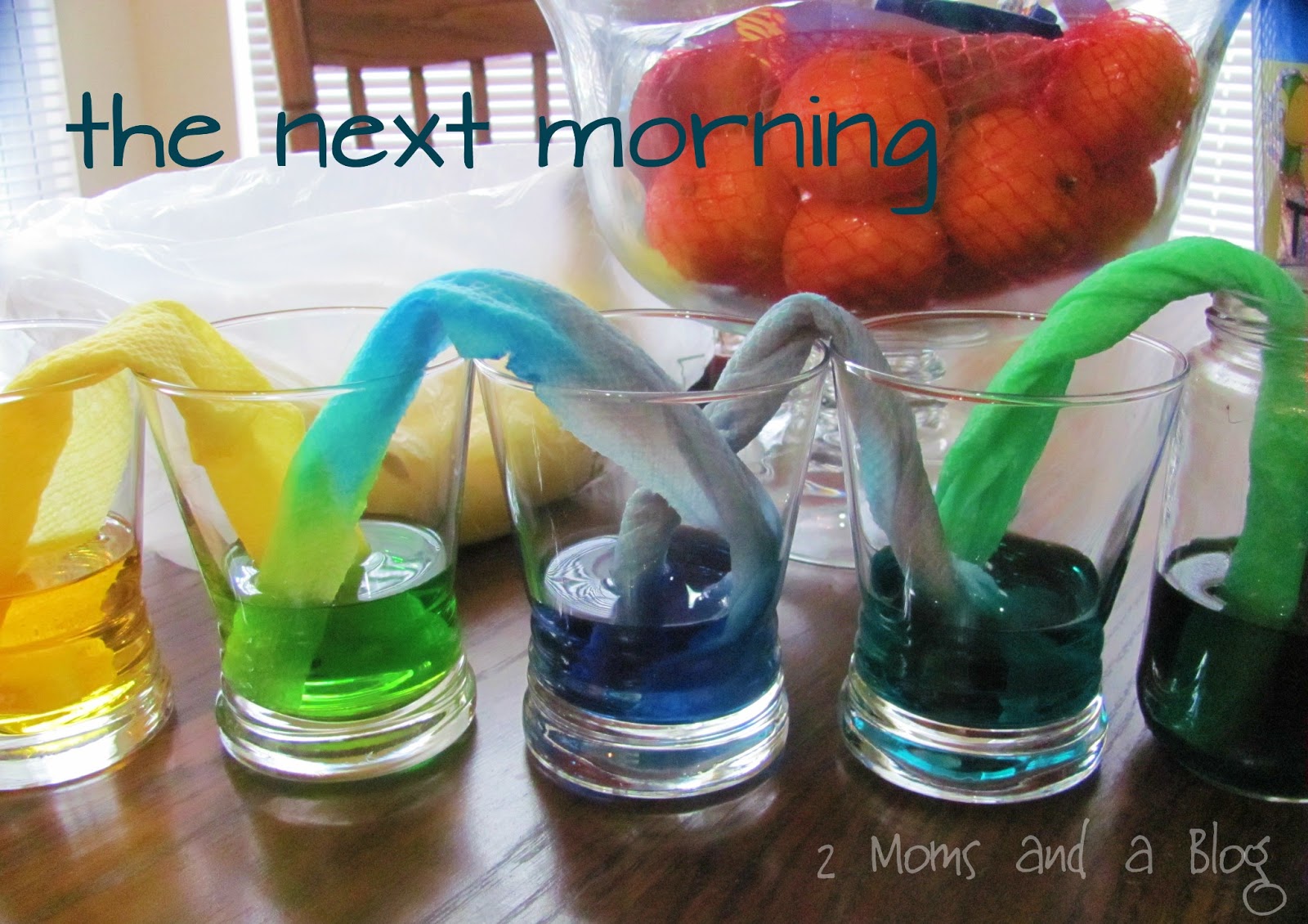 2 Moms and a Blog: Paper towel water transfer science experiment for kids