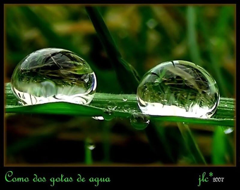 IMAGENES: FOTOS DE GOTAS DE AGUA