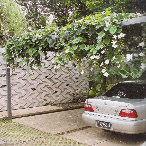 Tumbuhan Merambat | Belimbing Wuluh