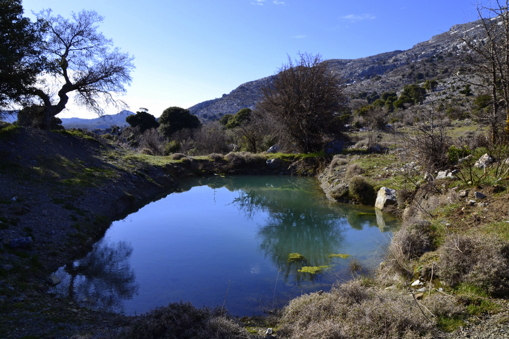 EXPLORE MOUNTAINS: ΣΓΟΥΡΟΣ ΠΡΙΝΟΣ-ΤΙΜΙΟΣ ΣΤΑΥΡΟΣ-ΧΑΥΓΑΣ ΣΤΟ ΟΡΟΠΕΔΙΟ ...