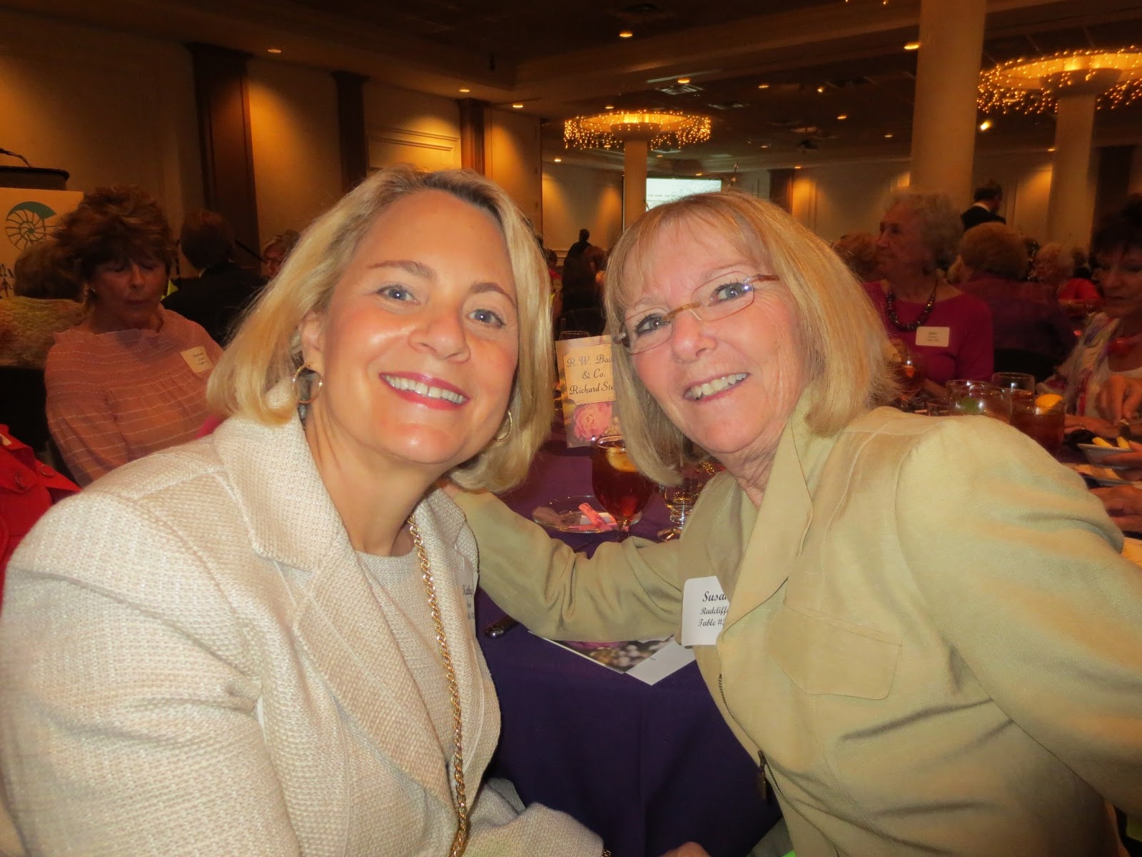The Civilized Life in Sarasota: Samaritan Counseling Services' Women ...