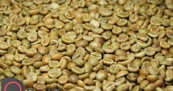 Cafe Red Bean 紅澤咖啡．自家烘焙咖啡豆: Q認證精品羅布斯塔 Kaapi Royale AA R-Cert Robusta ...