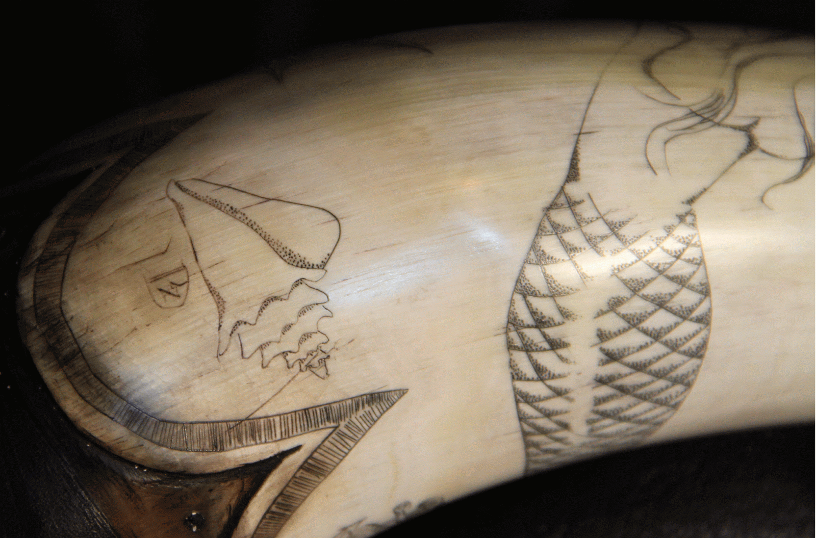 LZ & Company: Scrimshaw Powder Horn - Mermaids - 3 Sisters