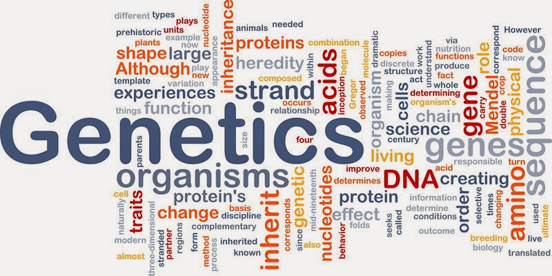 Human body organs: INTRODUCTION TO GENETICS