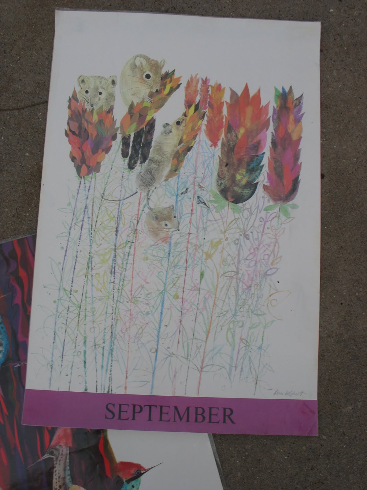 Team Struckmeyer: Thirty Days of Thankfulness: Day 12