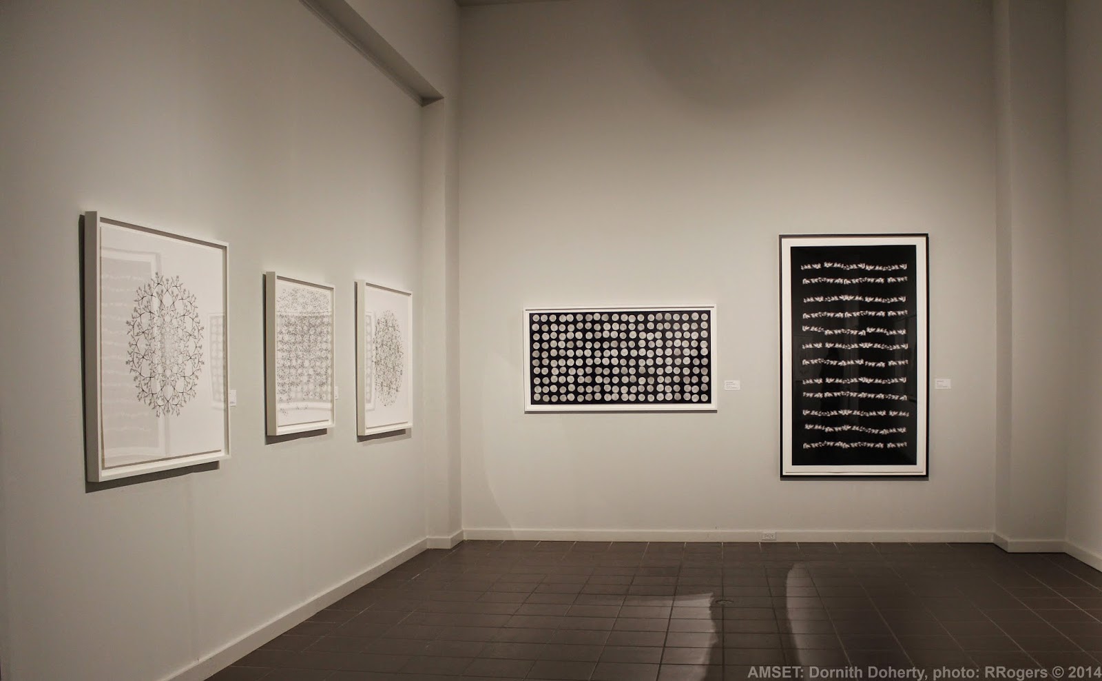 art v.2: Dornith Doherty