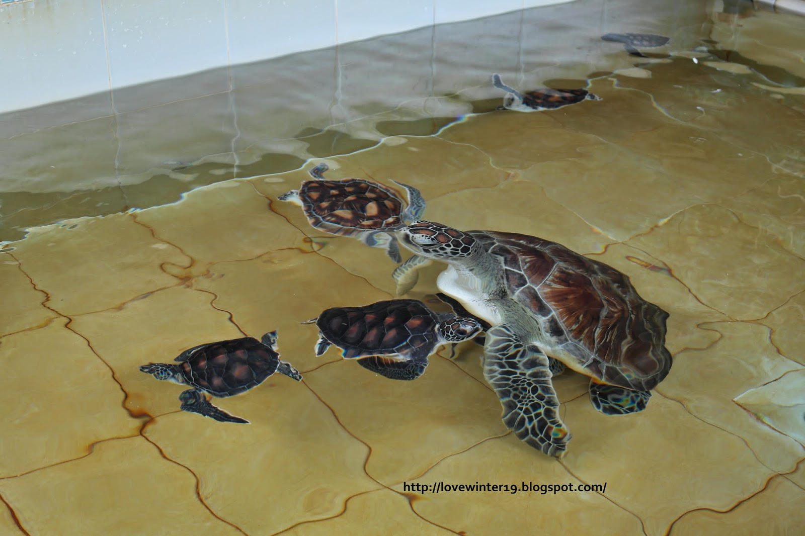 My Palace, My symphony of life and the rhythm in My heart: Segari ...