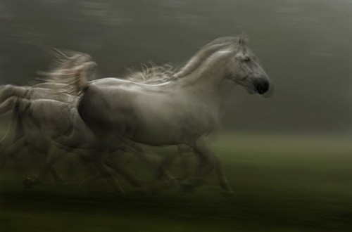 emiley's photography blog: Shutter Speeds