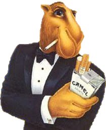 Mundo Das Marcas: CAMEL