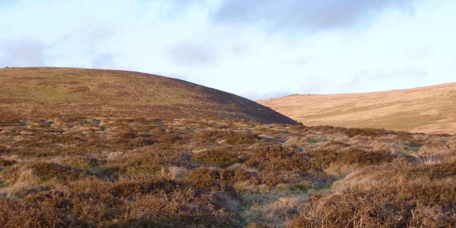 My Dartmoor Walks: Wednesday 11th April Great Links Tor
