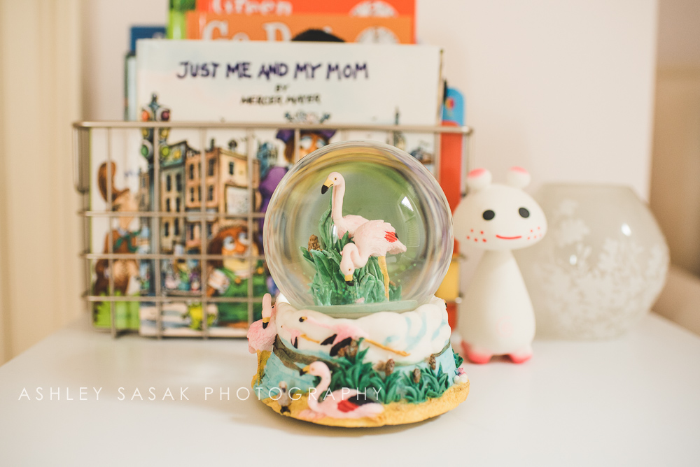 BABY KAUFMAN ADVENTURES: Lola's Flamingo Nursery