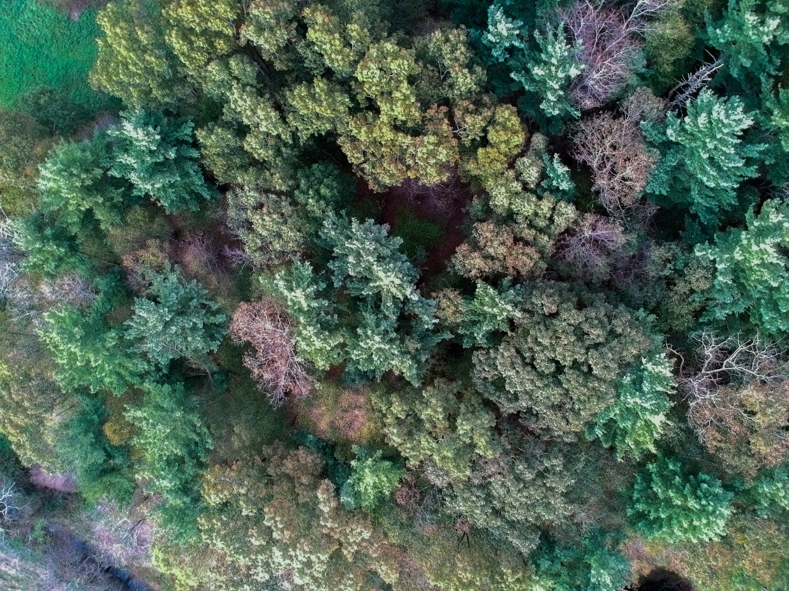 Cyclical Nature Progress