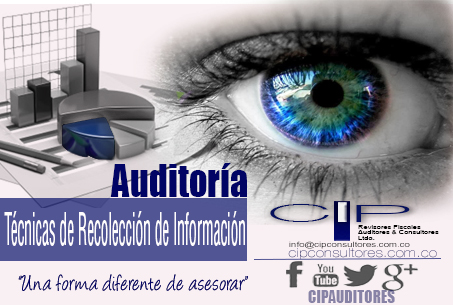 Técnicas de Recolección de Información en Auditoría ~ CIP Auditores Ltda