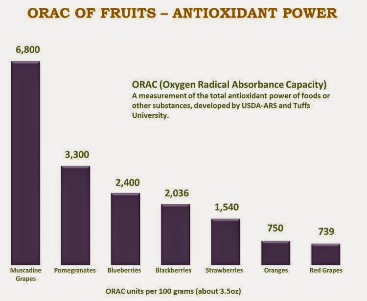 Nak Jaga Jantung Kena Minum Wine Merah? ~ Cara Hidup Sihat