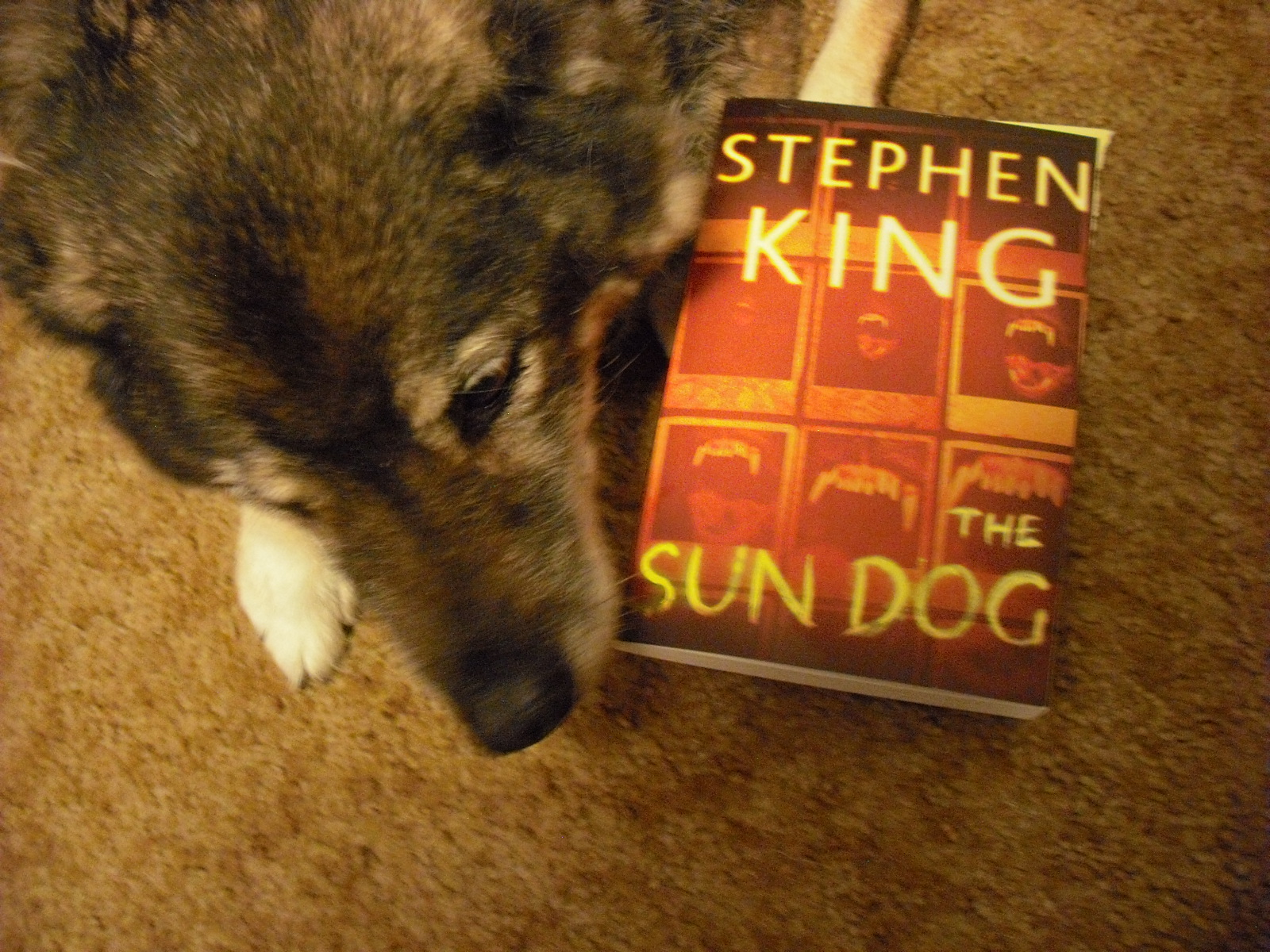 Grab A Book From Our Stack