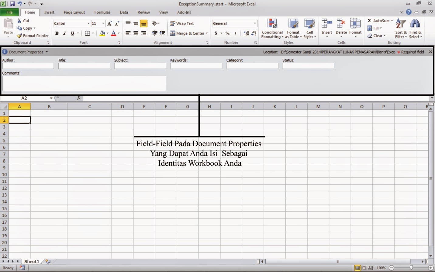 Membuat Workbook dan memberi Identitas Document Properties Pada ...