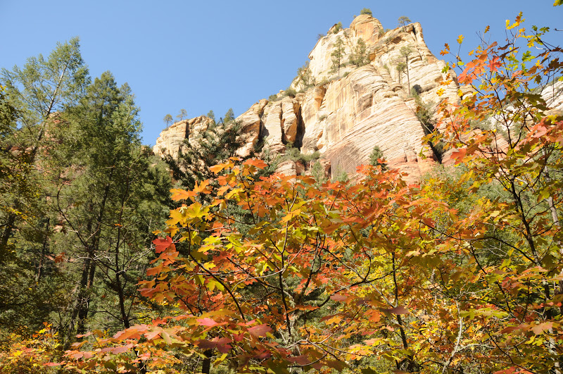 Arizona Hiking: Sedona fall color update: Oct. 13, 2012
