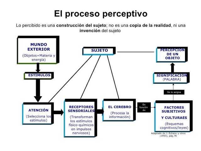 Psicología Irene: Sensación y percepción