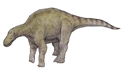 Los animales en la prehistoria: Animales prehistóricos con la letra B