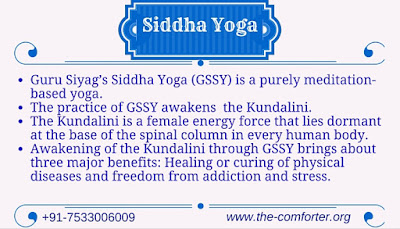 Top Yoga Alert: Siddha Yoga : meditation-based yoga : kundalini yoga ...