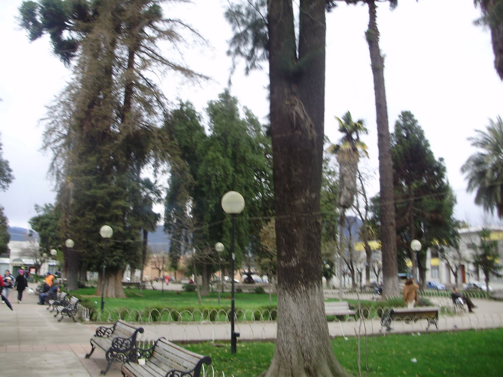 Rengo tour, ven y disfrutalo: Guía Turística