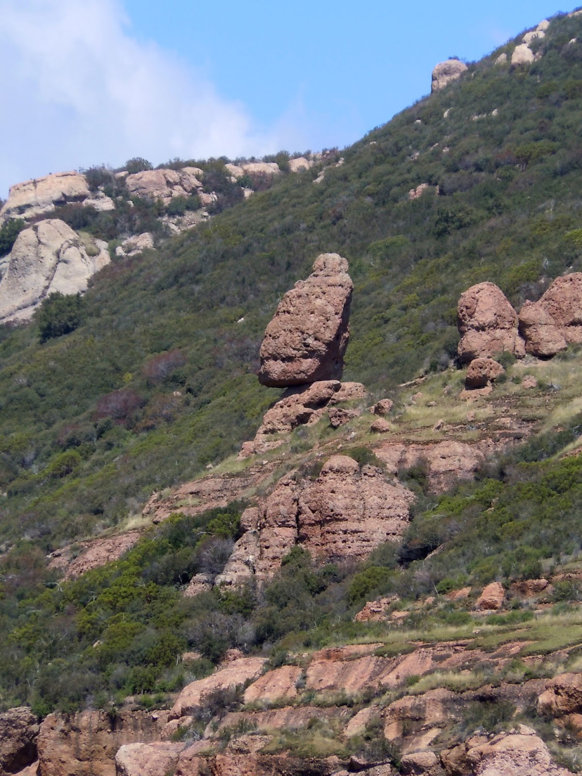 The Malibu Post: Malibu's Cabinet of Curiosities