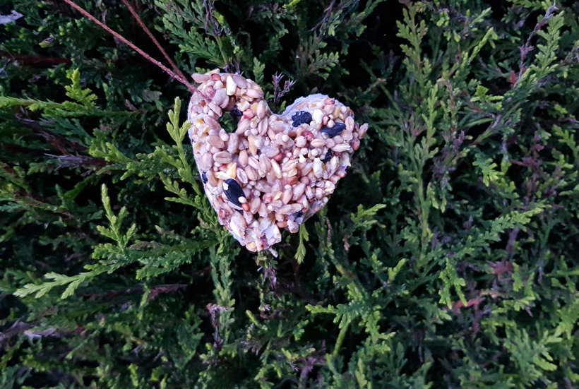 How I made Heart Shaped Bird feeders for Valentines - Lifestyle & DIY ...