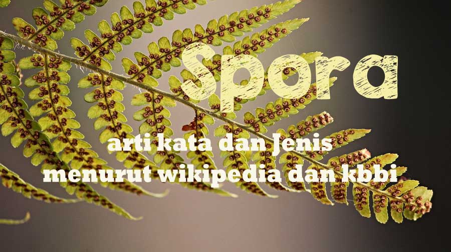 Arti Kata Spora Menurut Wikipedia dan Kamus Besar Bahasa Indonesia KBBI ...