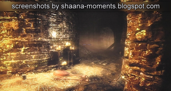 shaana: The Elder Scrolls 5 - Skyrim - Rifton Rattenweg