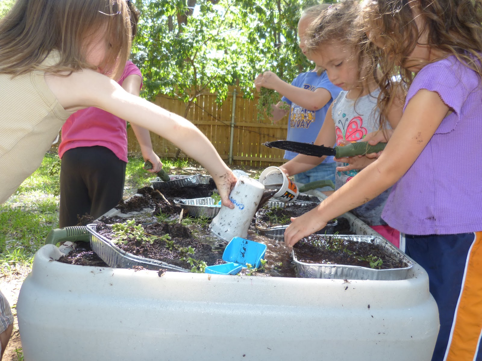 Paula's Primary Classroom: International Mud Day