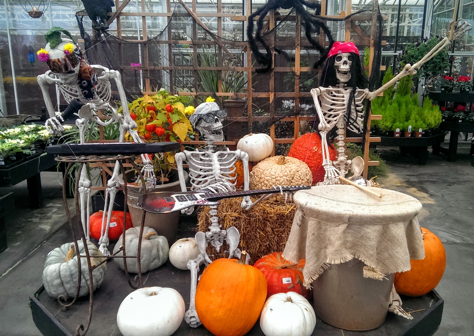 The Outlaw Gardener: Random Friday