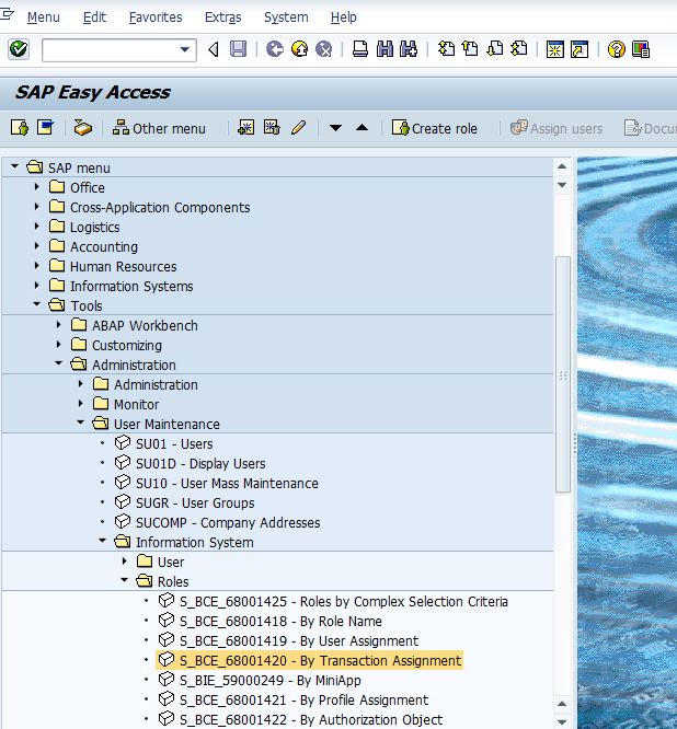Sap Screen Cast What Roles Are Related To This Tcode